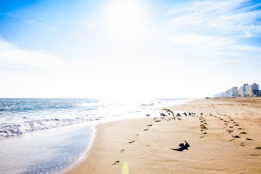 Va Beach is the most desirable and underrated city in US - TheVBJ